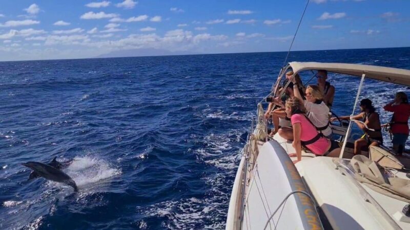 Athens Sailing & Gastronomy Sunset Cruise All inclusive - Water Activities: Fun in the Sun