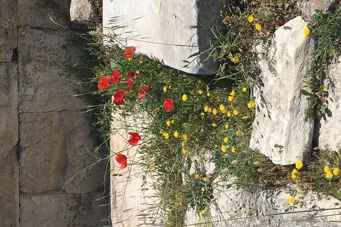 Athens Shore Excursion: Private City Sightseeing and Acropolis Tour - FAQ