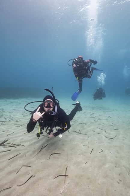 Athens: Single or Double Scuba diving for certified divers - Final Word: Is It Worth It?