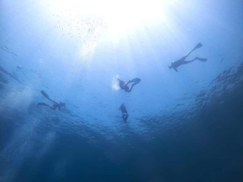 Athens: Snorkeling Riviera Adventure - An Insider’s Look at the Athens Snorkeling Riviera Adventure