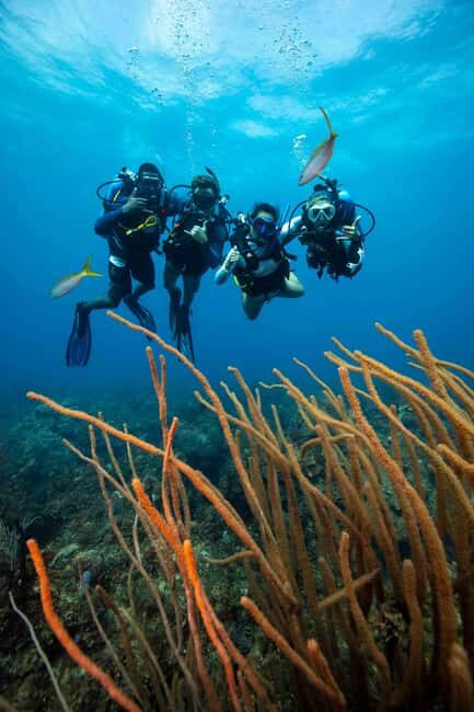 Athens: Snorkeling Tour - Why This Tour Is Worth Considering