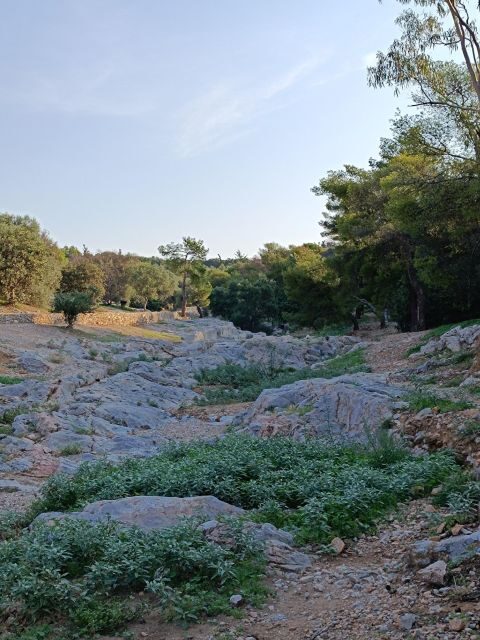 Athens Western Hills Guided Walking Tour - The Value of the Experience