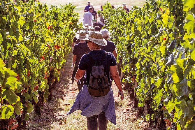 Athens Wine Tour - An Outstanding Full Day Experience For Dedicated Winelovers - Introduction: Why This Tour Stands Out for Wine Enthusiasts