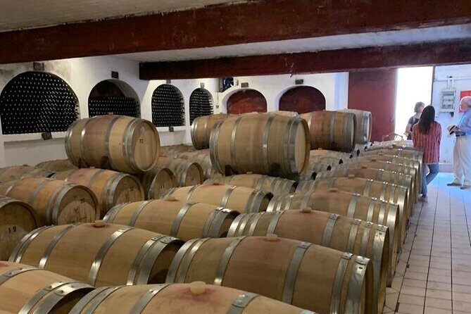 Athens Wine Tour - An Outstanding Full Day Experience For Dedicated Winelovers - A Deep Dive into the Itinerary: What to Expect