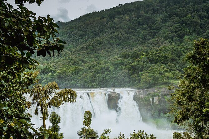 Athirapally Waterfalls from Cochin - Exploring Athirapally Waterfalls from Cochin: An Authentic Nature Escape