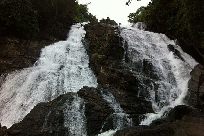 Athirapally Waterfalls from Cochin - Key Points