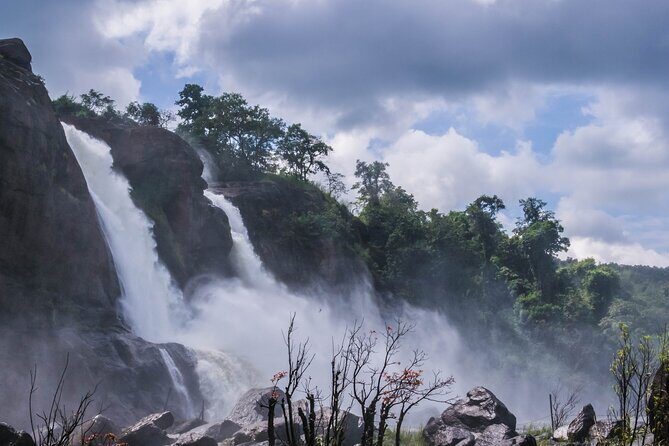 Athirapally Waterfalls from Cochin - Perfect for Who?