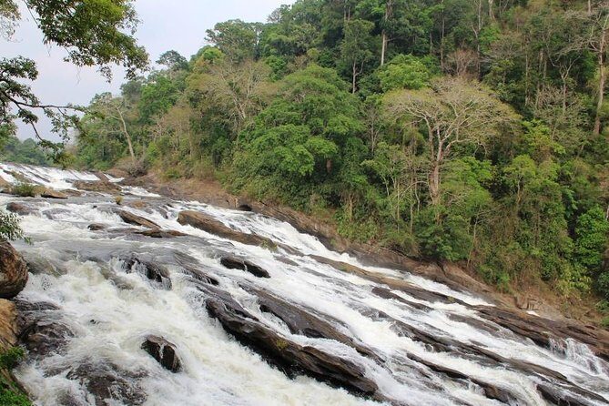 Athirappally & Vazhachal Waterfall Tour with Lunch - The Itinerary: What to Expect & How It Adds Up
