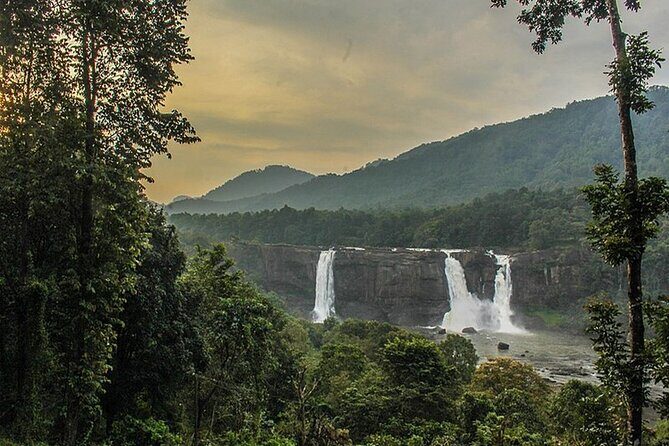 Athirappilly & Vazhachal Waterfalls Private Day Tour from Kochi - The Sum Up
