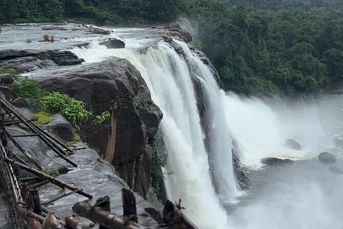 Athirappilly Waterfalls Day Trip from Kochi with Transfers - Pricing & Value