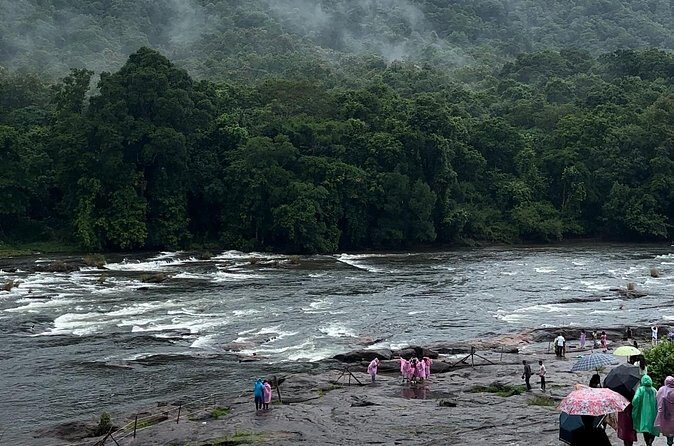 Athirappilly Waterfalls Day Trip from Kochi with Transfers - The Sum Up