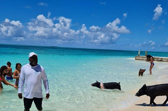 Athol Island Swimming Pigs Half-Day Boat Tour with Lunch - Final Thoughts