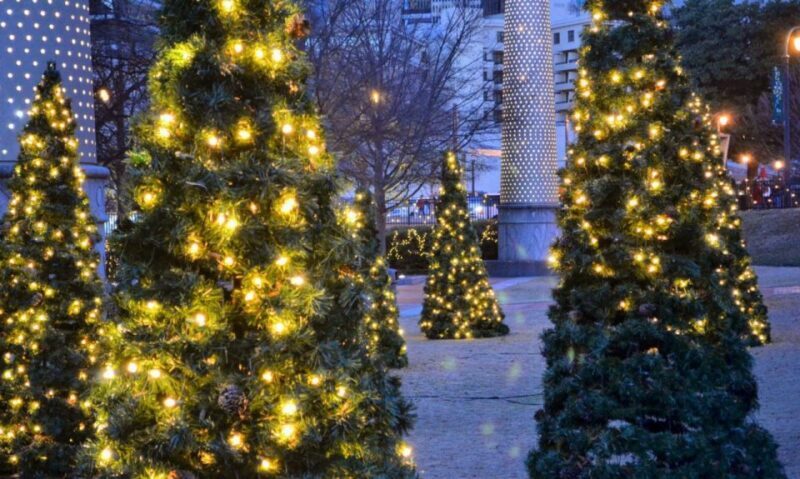 Atlanta: Christmas Private Walking Tour - Introduction