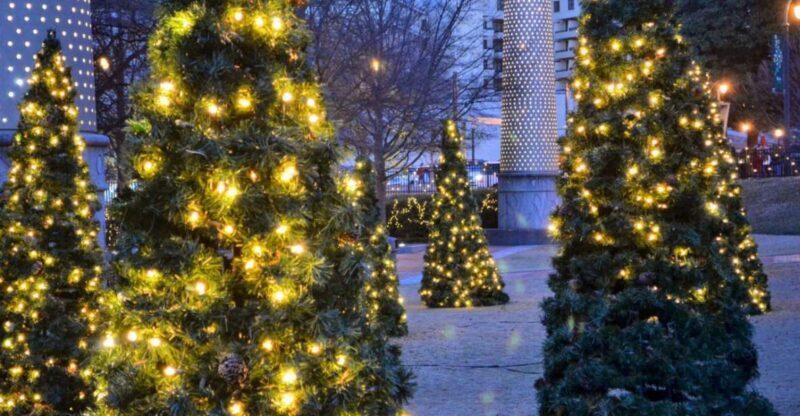 Atlanta: Christmas Private Walking Tour - Practical Details and What to Expect