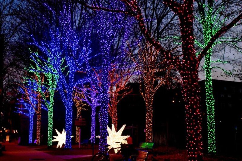 Atlanta: Christmas Walking Tour - Key Points