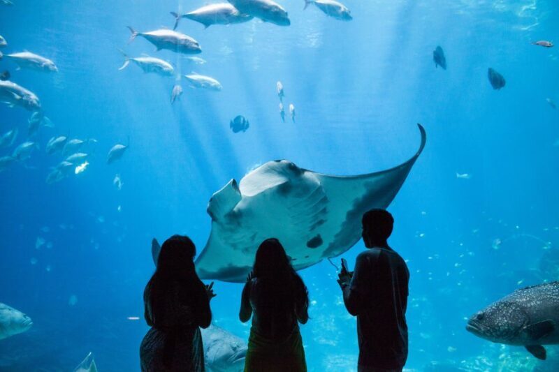 Atlanta CityPASS®: Save up to 49% at 5 Top Attractions - An Introduction to the Atlanta CityPASS® Experience