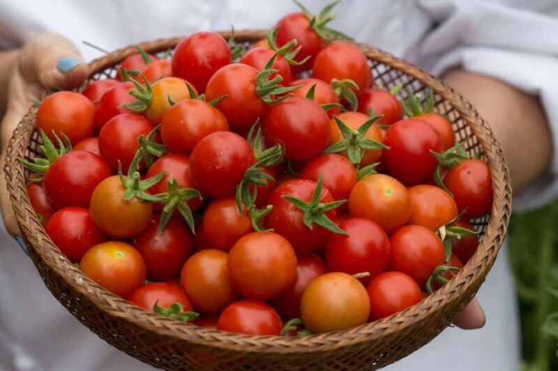 Atlanta: Fun Pasta Making Class at a Local Wine Bar - The Venue: Why the Local Wine Bar Works