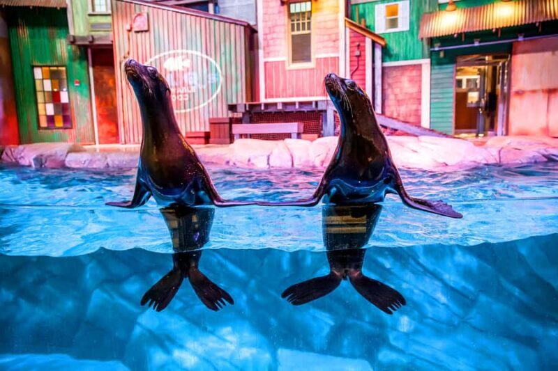 Atlanta: Georgia Aquarium Skip-the-Box-Office Entry Ticket - FAQs