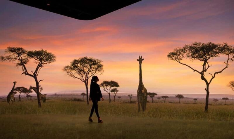 Atlanta: The Illuminarium Day Pass - FAQ