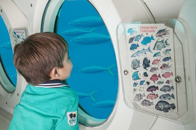 Atlantis Submarine Day Tour - What to Expect from the Atlantis Submarine Tour in Barbados