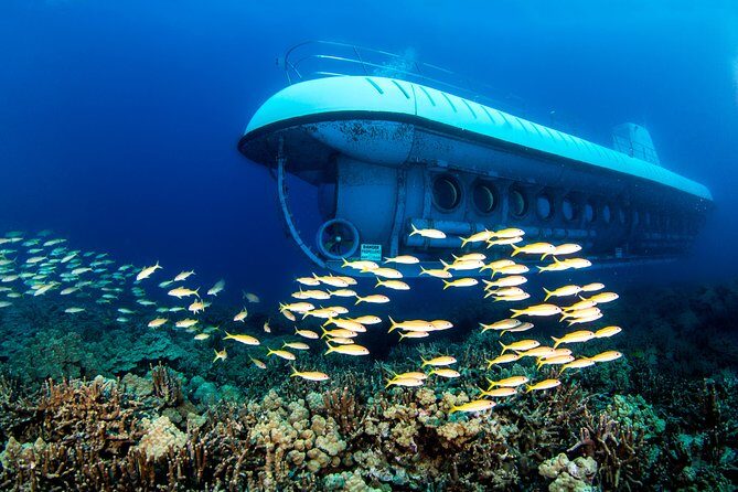 Atlantis Submarine from Kona Beach - What to Expect from the Atlantis Submarine Kona Experience