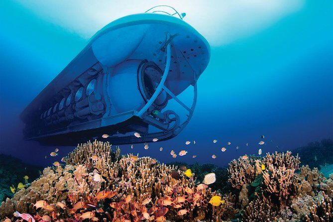 Atlantis Submarine from Kona Beach - FAQs