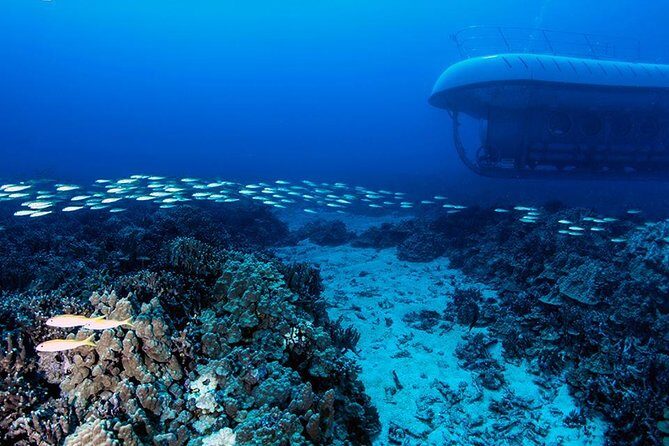 Atlantis Submarine from Kona Beach - Final Thoughts