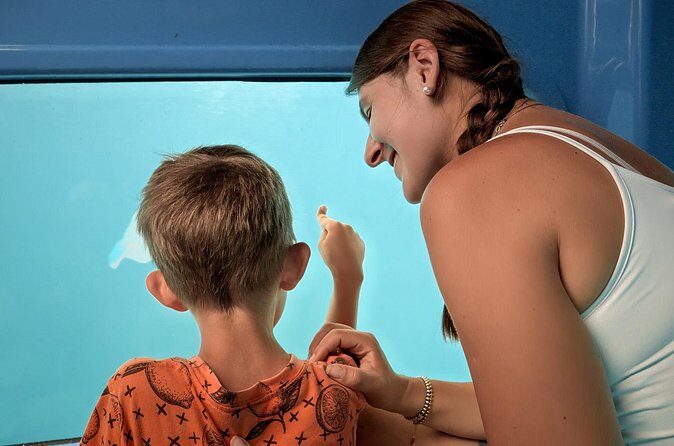 Atlantis Submarine Private Tour in Bridgetown - Who Should Consider This Tour?