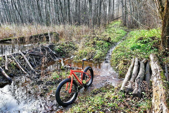 Atomic Ride | LitWild |Visaginas|Lithuania - Price and Value