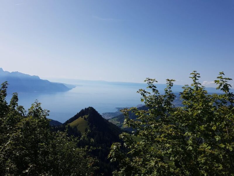 Attraction Ticket: Montreux to Rochers-de-Naye - The Sum Up: Is This Tour Right For You?