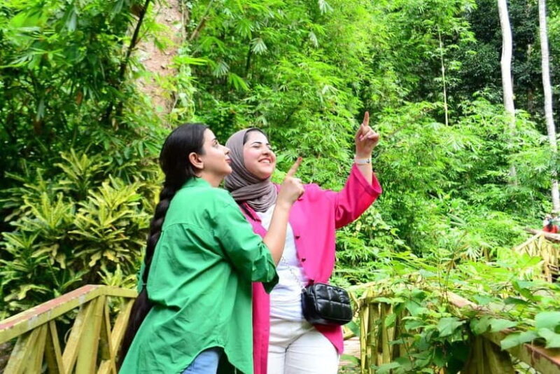 ATV Adventure Package  1 Hour Fun Ride in Langkawi - Key Points
