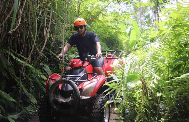 ATV Adventure & Scenic Cycling Tour in Bali - Why This Tour Offers Real Value