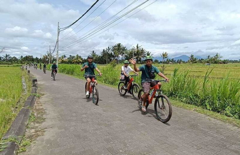 ATV Adventure & Scenic Cycling Tour in Bali - Final Thoughts: Who Will Love This Tour?