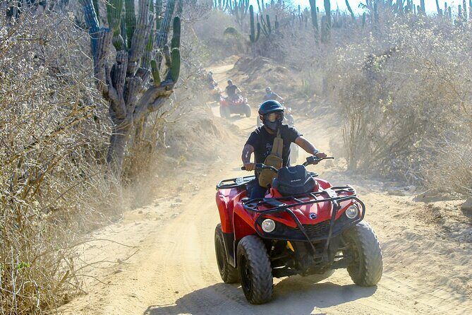 ATV and Camel Experience Los Cabos - What to Expect on the ATV and Camel Experience