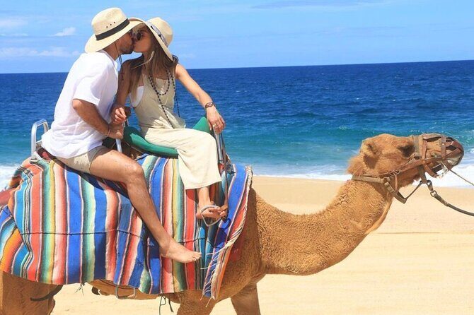 ATV and Camel Ride COMBO Adventure - Authentic Feedback from Participants