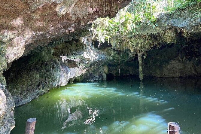 Atv and Cenote All Terrain - An In-Depth Look at the ATV and Cenote All Terrain Experience