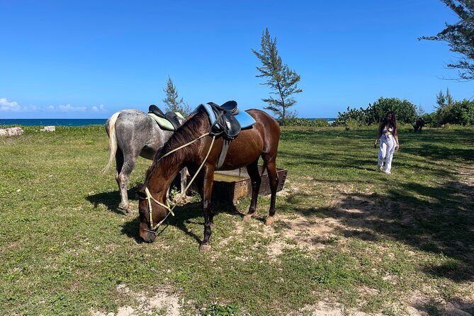 ATV and Horseback Ride n Swim Adventure Tour In Montego Bay - Summary: Who Will Love This Tour?