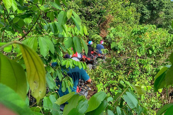 ATV, Buggi, UTV, Zipline - The Allure of Phuket’s Jungle: A Closer Look