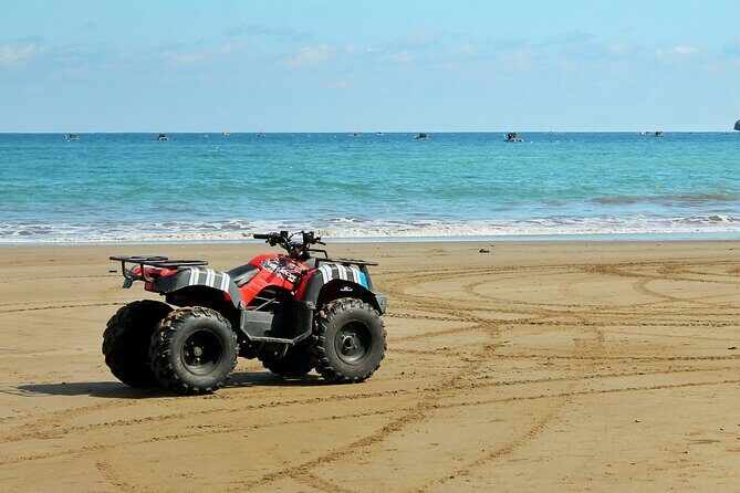 ATV Desert Adventure in Baja California Sur with Tequila Tasting - An In-Depth Look at the Experience