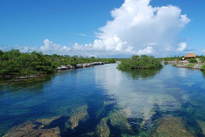 ATV Extreme and Snorkel Adventure from the Riviera Maya - What You Can Expect from the Tour
