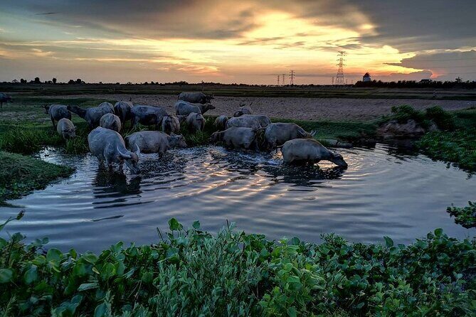 ATV Grand Sunset Tour - An In-Depth Look at the ATV Grand Sunset Tour