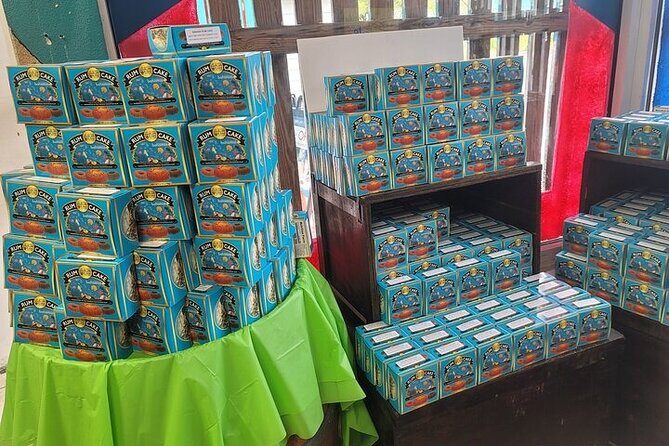 Atv Guided Tours Nassau Bahamas - Who Should Consider This Tour?