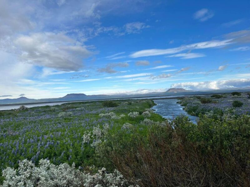 ATV guided trip close to dettifoss iceland - FAQ