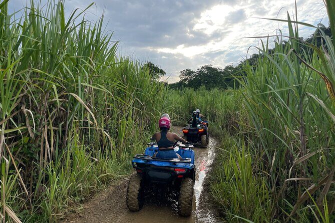 ATV Jungle Adventure - Who Will Love This Tour?