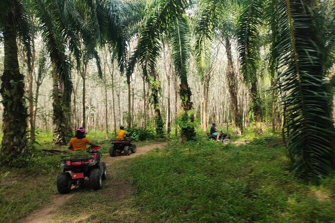 ATV Jungle Adventure in Krabi with Roundtrip Transfer - The Itinerary: A Step-by-Step Breakdown