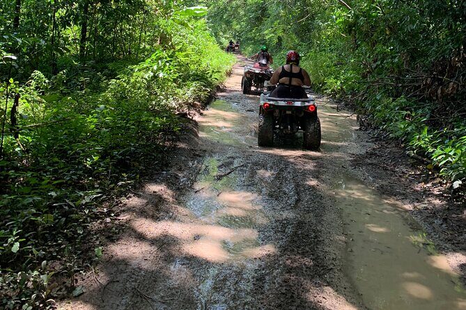 ATV Jungle Safari Tour from Montego Bay - The Cons: What to Watch Out For