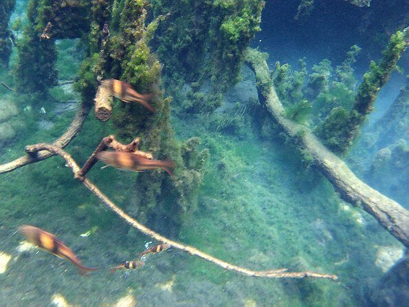 ATV & Kayaking in Hidden Freshwater Lagoon, Unseen Krabi Half Day Trip - The Sum Up