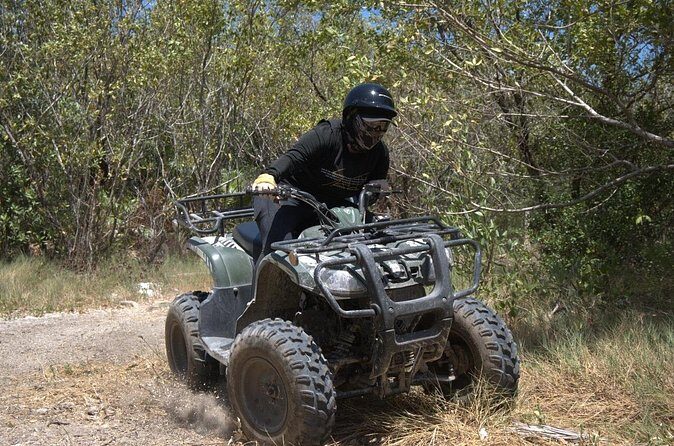 ATV Mangrove Adventure - Who Will Love This Tour?