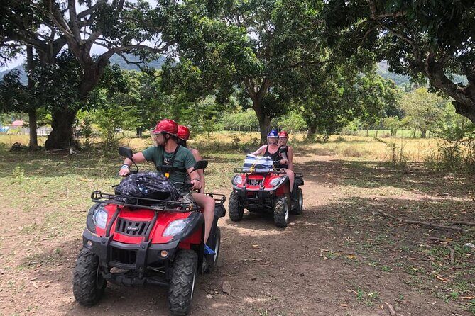 ATV N Zip: 8 Zip Lines plus ATV's - Overview of the Experience