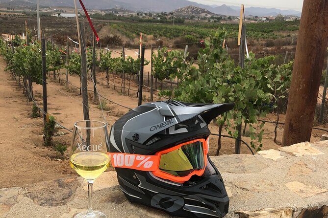 ATV Off-Road Adventure through Valle de Guadalupe + Winery Visit - Authentic Experiences & Real Feedback